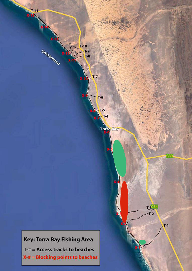Coastal human-lion conflict management dec 2022 Torra Bay - Desert Lion ...