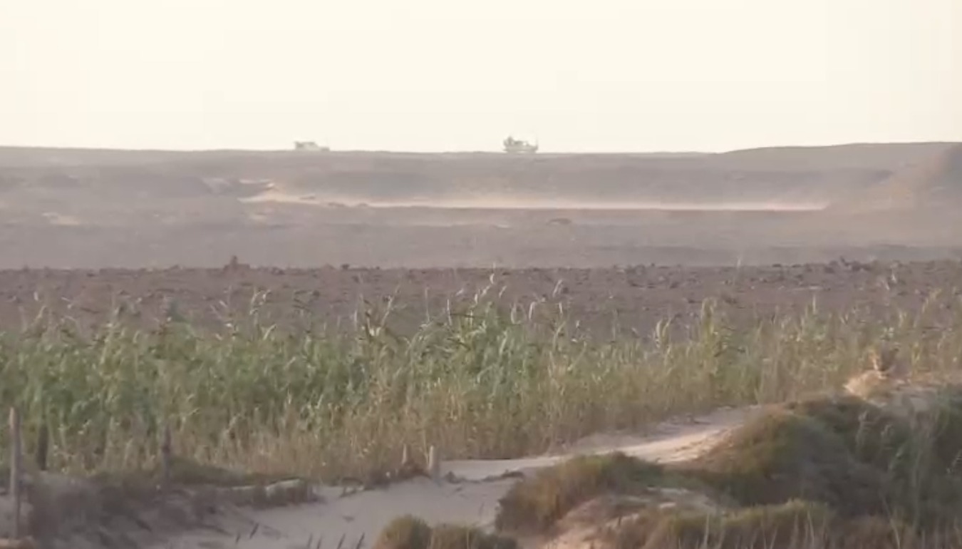 Desert Lion Conservation - www.desertlion.info - Desert Lion ...